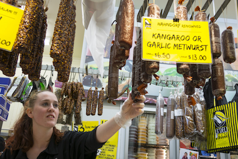 The Kangaroo Hunt – Investigative Reporting Workshop Archive