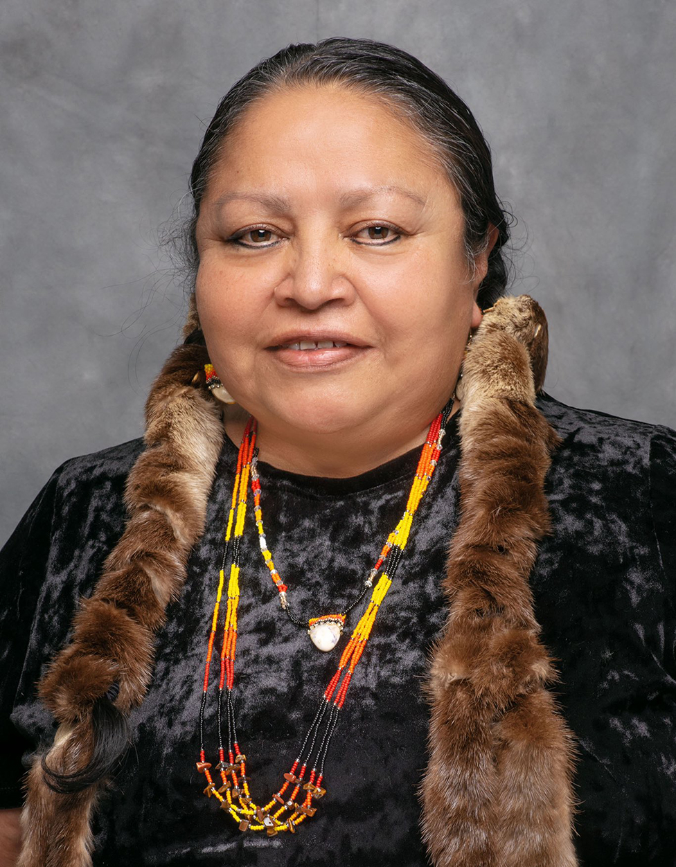 Indigenous journalists make way for sunshine – Investigative Reporting ...